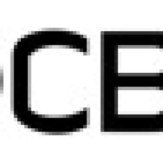 Casting Director Testimonials | Anthony Meindl Workshop